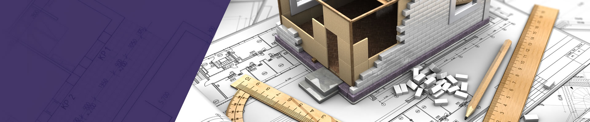 Palm | Scott Gibson Building